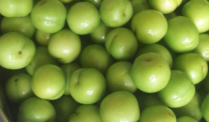 ახალი ტყემალი | Kulinaria.ge